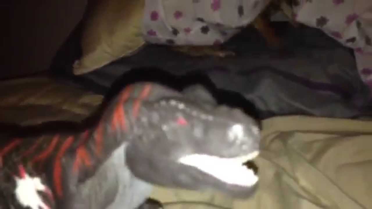 T. rex vs Simba the chihuahua - YouTube
