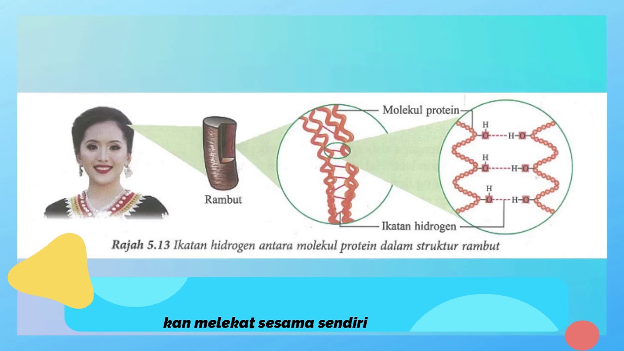 Ikatan Hidrogen Gaya Antarmolekul Ikatan Hidrogen Ikatan Kimia Molekul