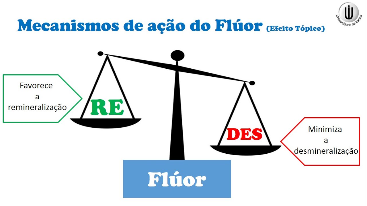 Função Do Fluor No Organismo - FDPLEARN