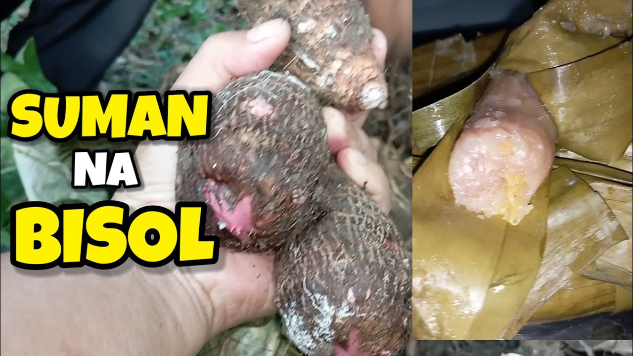 Countryside Life|Suman na Bisol|Reva's vlog| - YouTube