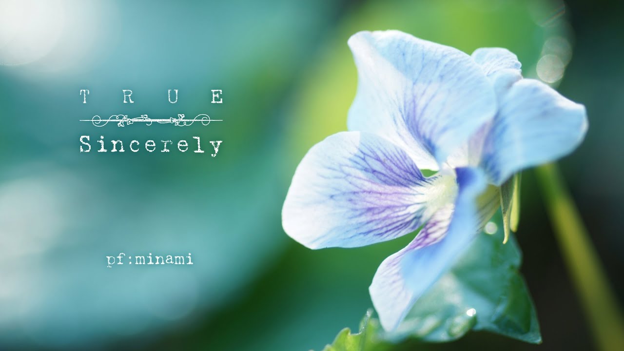 【ピアノ】TRUE「Sincerely」を弾いてみた (ヴァイオレット・エヴァーガーデン OP) - YouTube