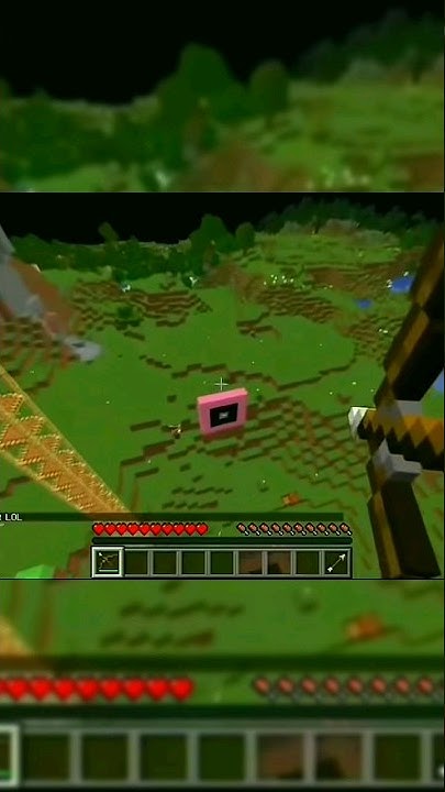 Technoblade and Dream INSANE Clips #shorts - YouTube