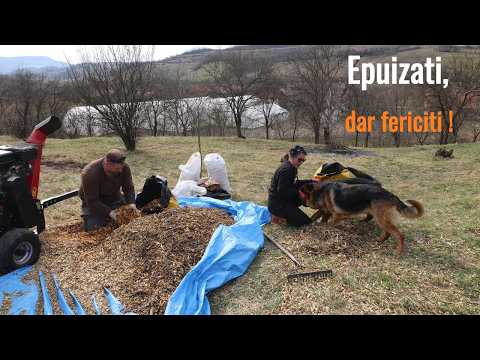 Am început semănatul… dar TOCĂTORUL a furat tot show-ul 😱