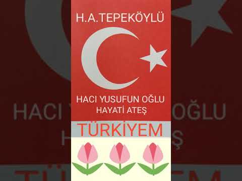 Hayati Ates - TÜRKİYEM + MEHMEDIM