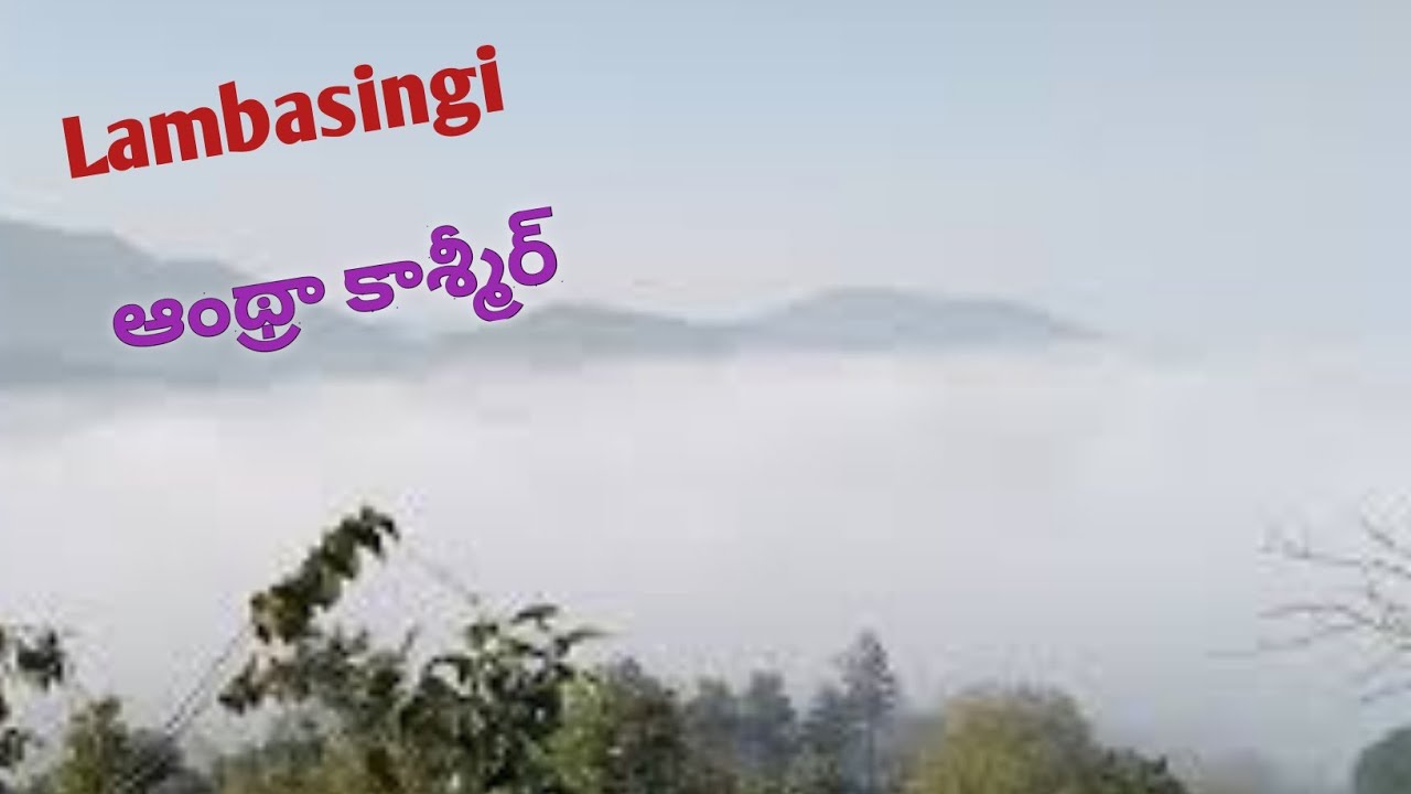 #short# Lambasingi awesome tourist place# Andhra Kashmir # Beautiful ...