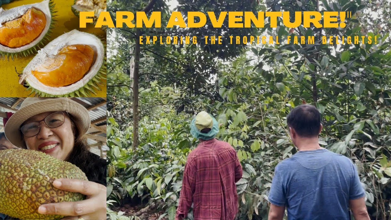 Exploring the Tropical Farm Delights! @ Bautista's Farm. - YouTube