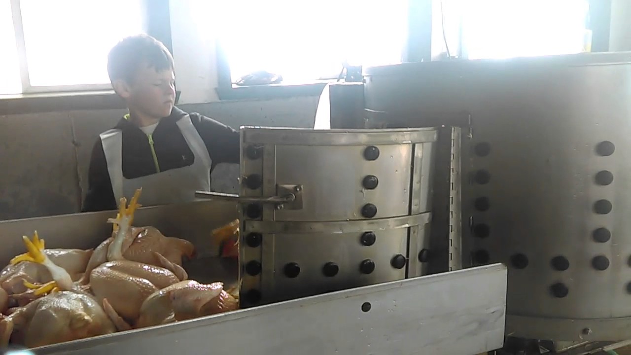 Homestead Butcher Shop: Processing chickens at Baker's Green Acres ...