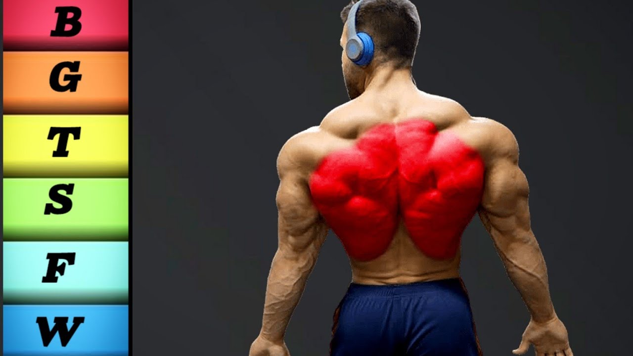 The Best And Worst Back Exercises (Scientific Based) Back Workout - YouTube