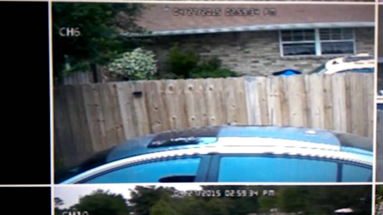Sheyda Gordon. Night time thief... Crazy lady - YouTube