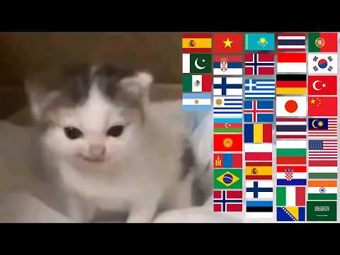German Cat in Different Langauges