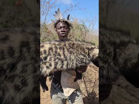 Jungle Triumph  African Tribal Hunter Celebrates Wild Cat Catch 🐾🌿 #TribalLife #JungleHunt #wildlife