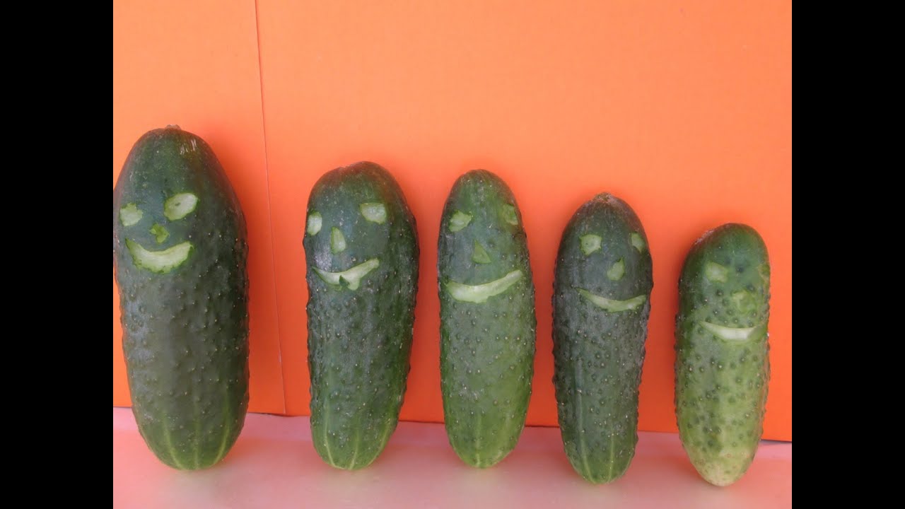 Cucumber Finger Family Rhymes - YouTube