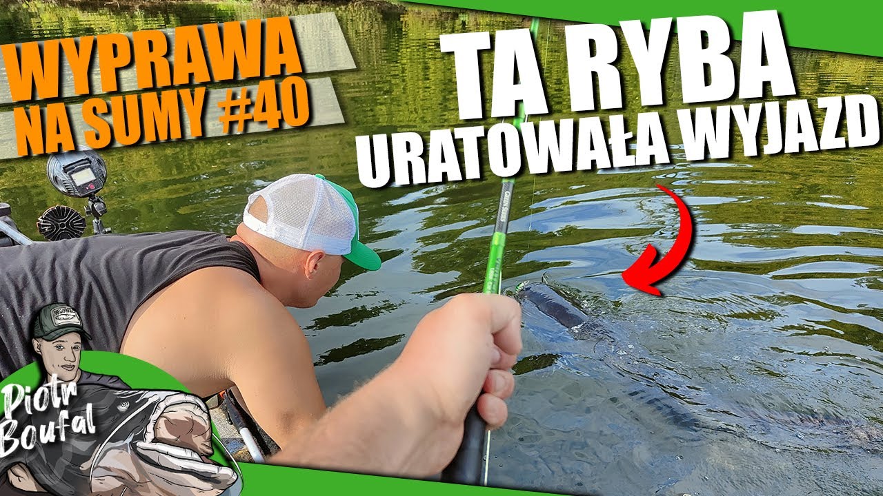 Jak ŁOWIĆ NA ŻYWCA? TA RYBA uratowała WYJAZD - WYPRAWA NA SUMY #39 ...