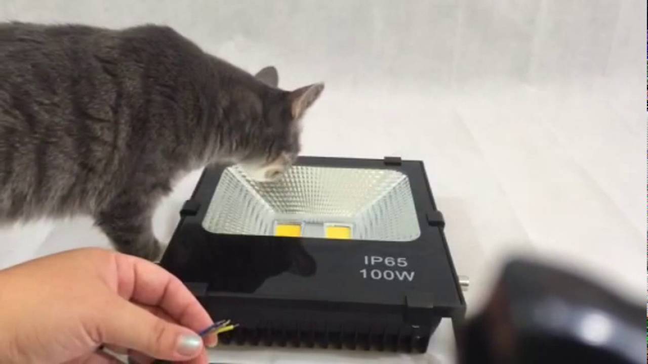 SSG Outdoor 100W Super Brightest LED Lights,10000lm,3000k,250w HPS ...