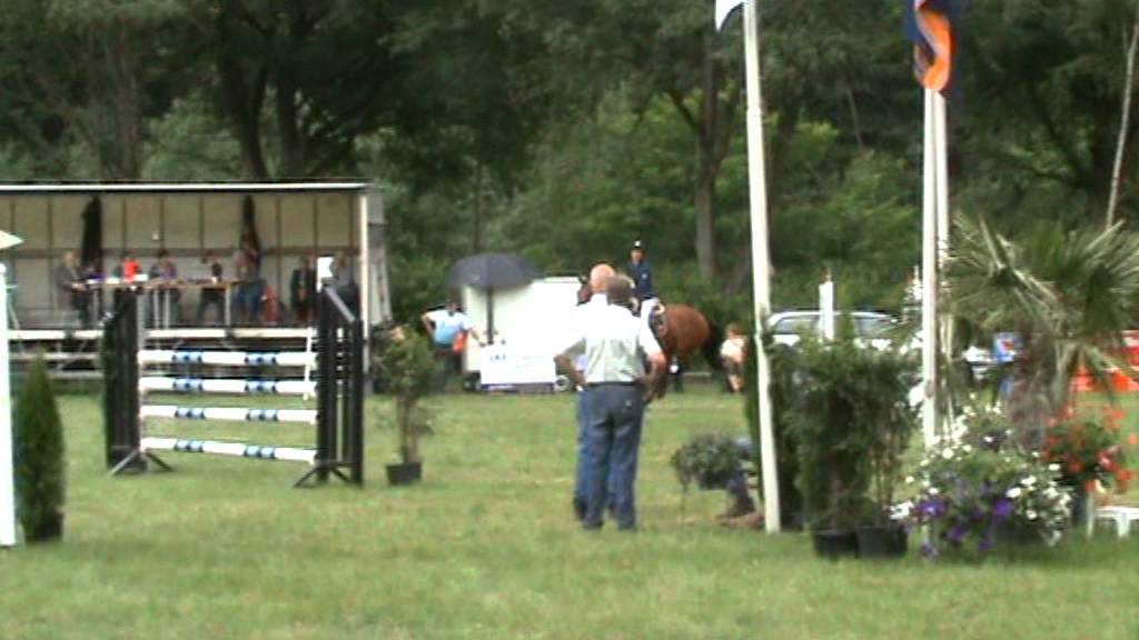 10 yrs mare by Orame top amature horse - YouTube