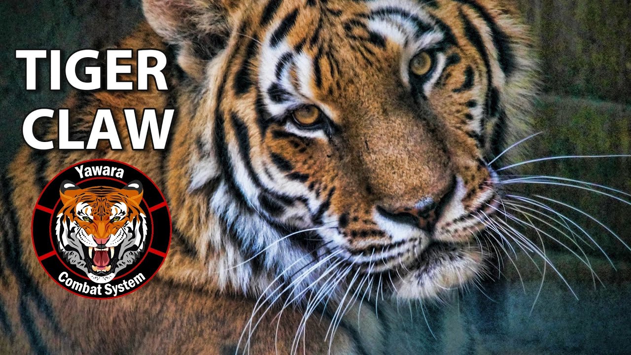 TIGER CLAW - YouTube