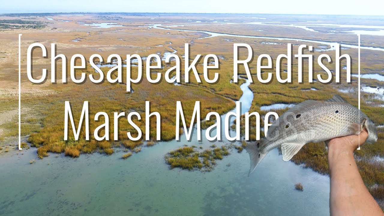 Kayak Fishing/Sight Casting Tailing Redfish With Topwater Lures On the ...