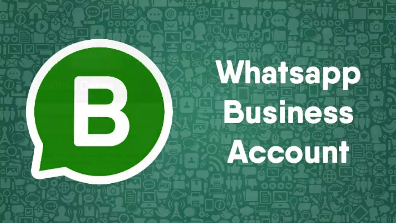 WhatsApp Business App - New Amazing Features - New Updates - YouTube