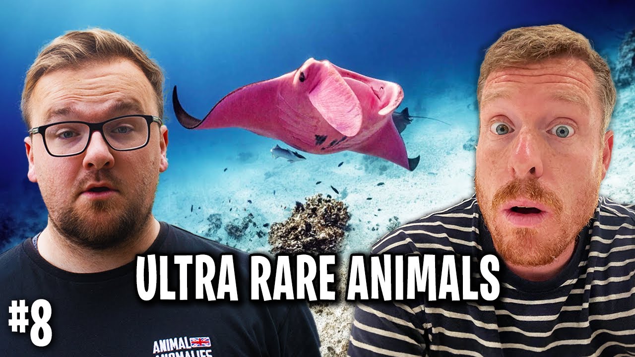 These Are The World's Rarest Animals - Animal Anomalies Ep. 8 - YouTube