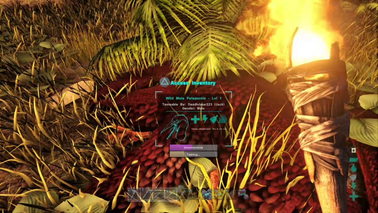 ARK: Survival Evolved pelagornis part 1 - YouTube