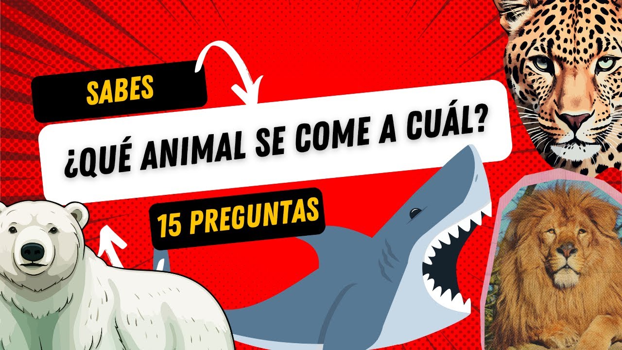 ¿Qué Animal se Come a Cuál? ¡15 Preguntas Divertidas! - YouTube