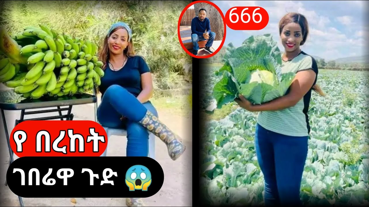 የ በረከት ገበሬዋ ጉድ እናቷ ዘረገፈችው 😱 | Bereket Geberewa | ebs tv - YouTube
