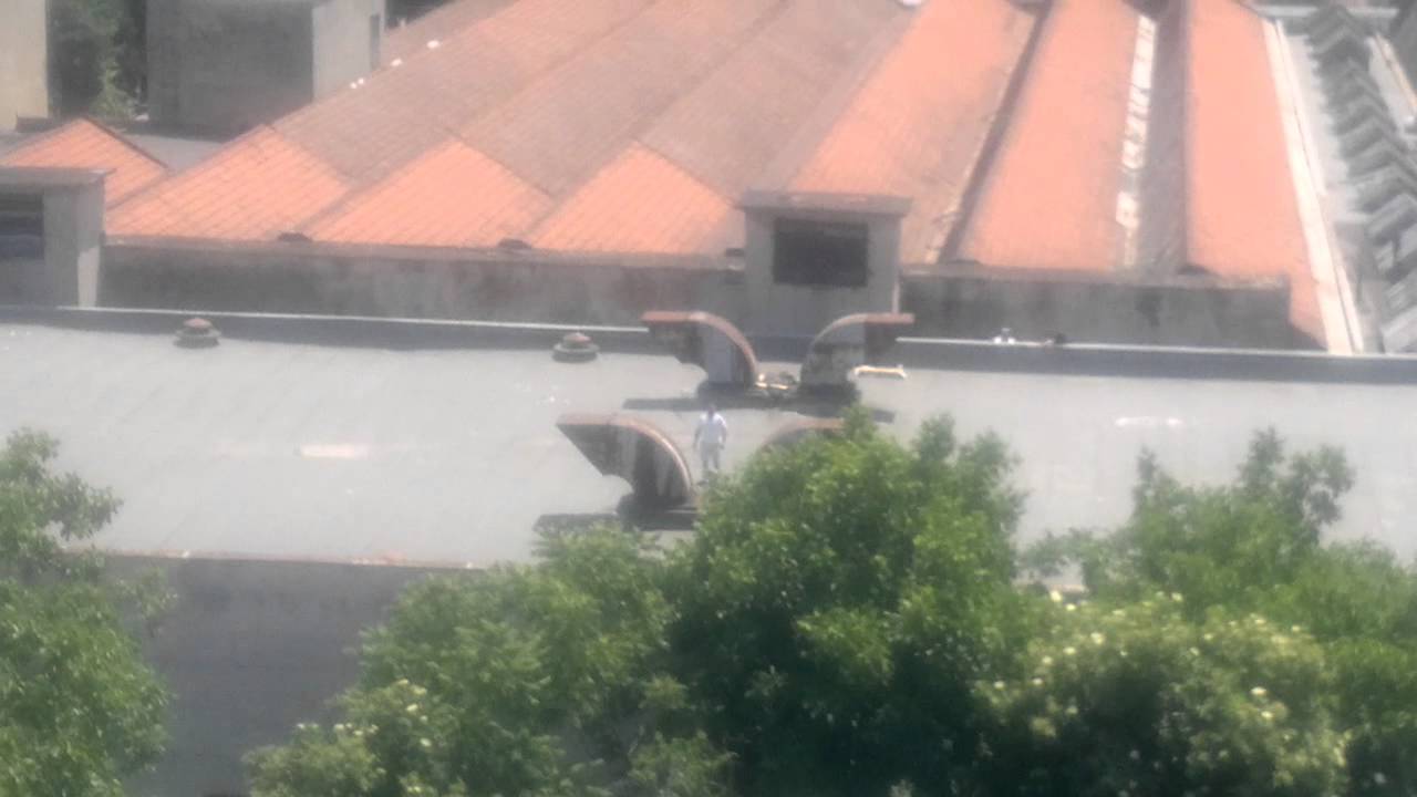 Salvarea lui Grivei de pe acoperis - YouTube