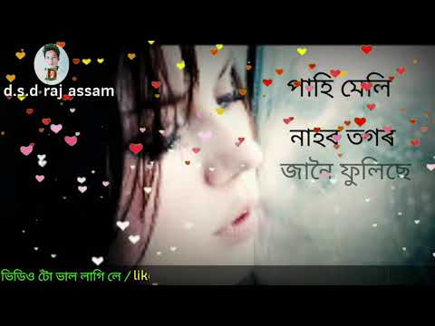 Pahi meli nahor togor WhatsApp status video