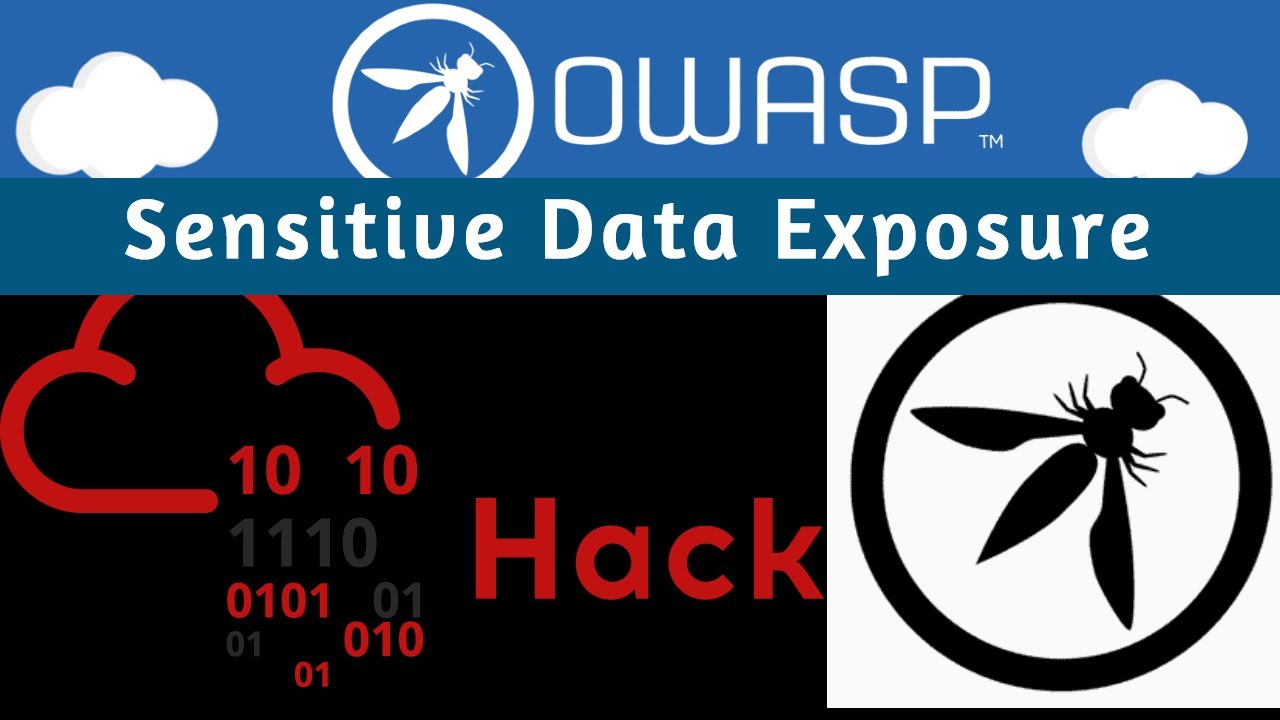 Sensitive Data Exposure Tryhackme Owasp top 10 | owasp top 10 tryhackme sensitive data exposure ...