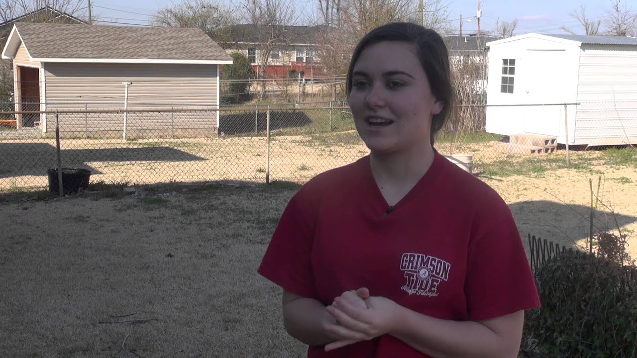 Caitlin Golden Aging Dogs - YouTube