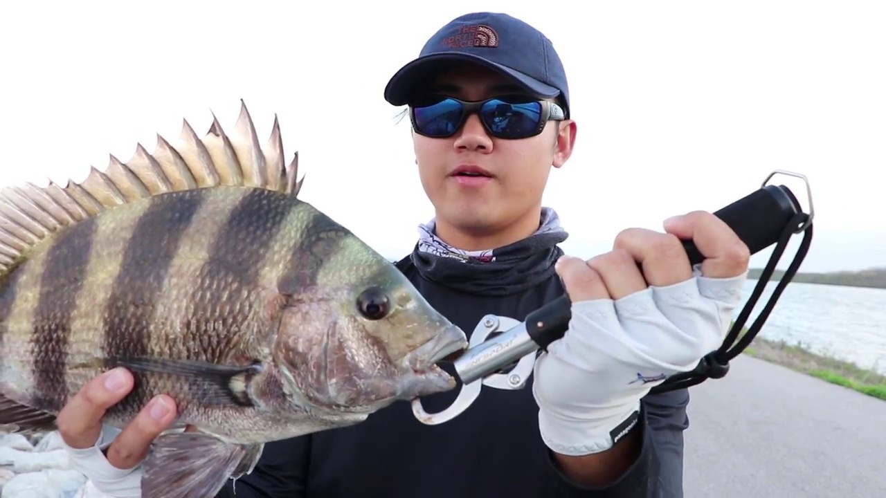 TRASH FISH OR GAME FISH?!? Bank Fishing for PRISONERS!! - YouTube