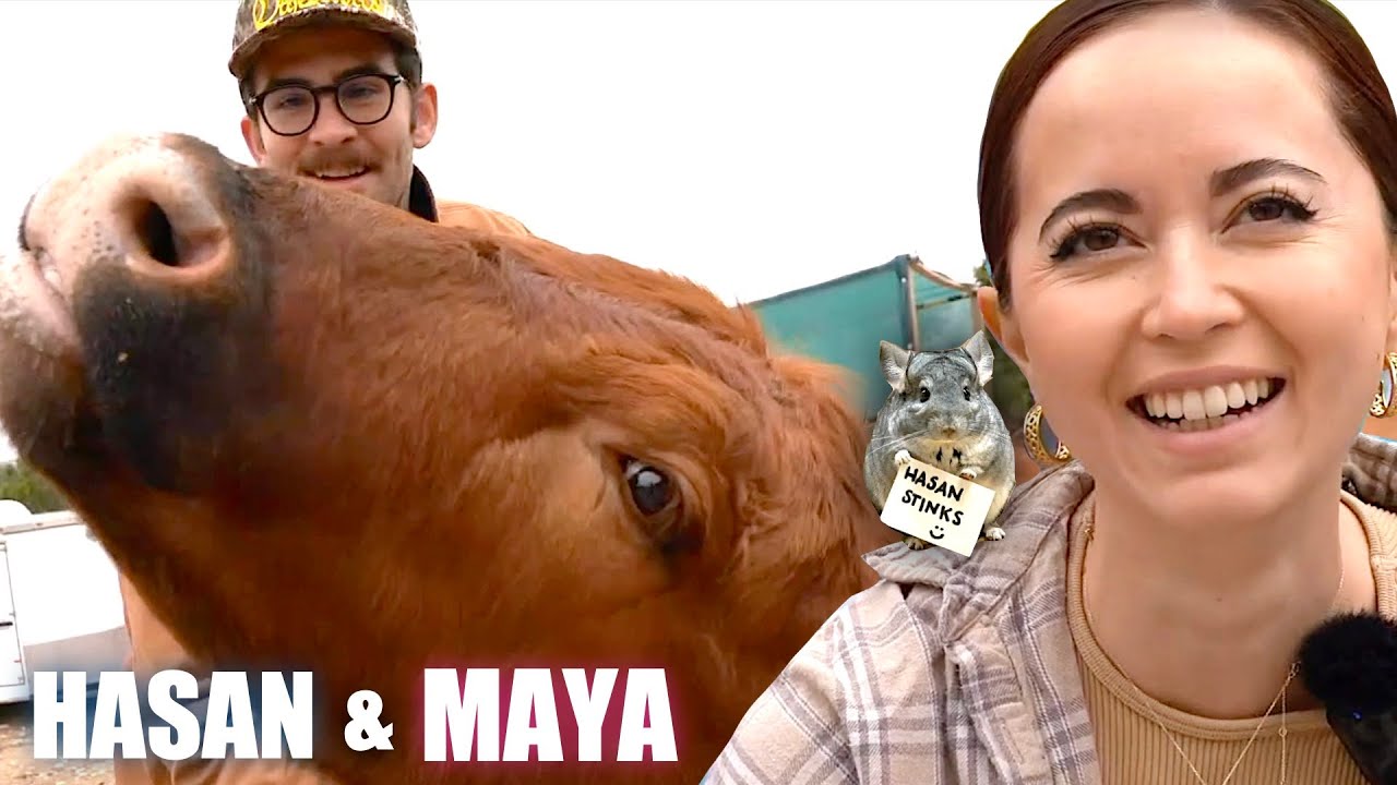 Hasan's Favourites At Alveus Sanctuary (Ft. Maya Higa) | HasanAbi ...