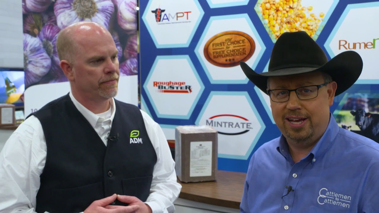 ADM Animal Nutrition: Innovating with Cattle Nutrition - YouTube