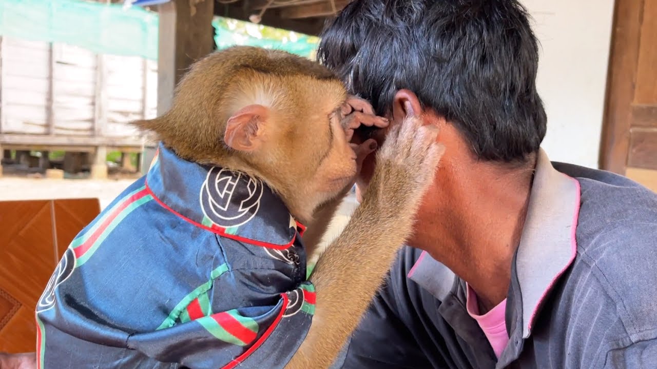 Adorable Tin Grooming & Clear Ear Grandpa - YouTube