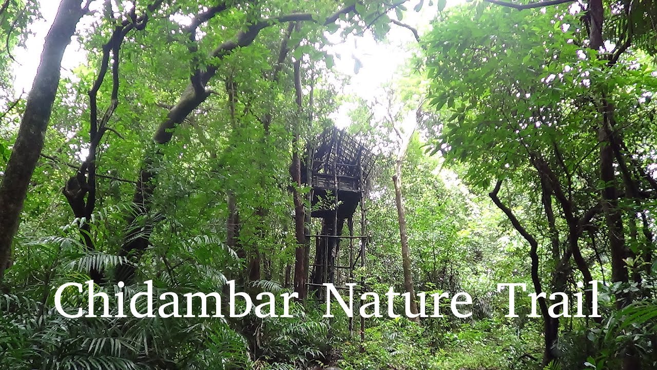 Chidambar Nature Trail... trek to Chidambar guffa ( caves ) . Madhai ...