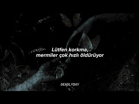 Alyona Shvets - Расстрел | İdam (Türkçe Çeviri)