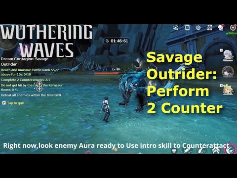 Dream Contagion Savage Outrider: Perform 2 Counterattacts | Puzzle On Map | Wuwa 2.4