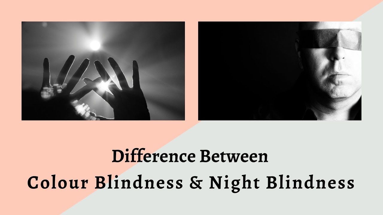 Difference Between Colour Blindness and Night Blindness | Exploring ...