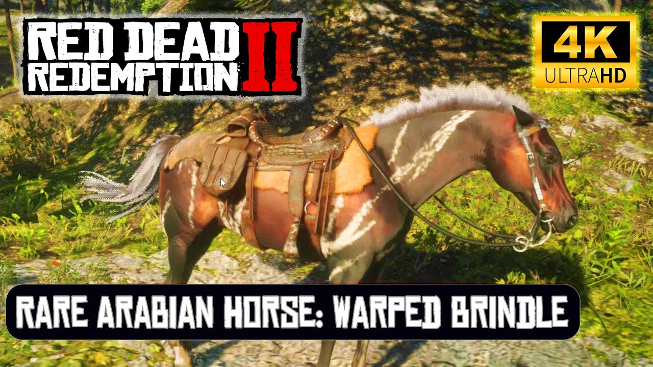 Rare Arabian Horse Warped Brindle Location 🏆🐎 | RDR2 Red Dead ...