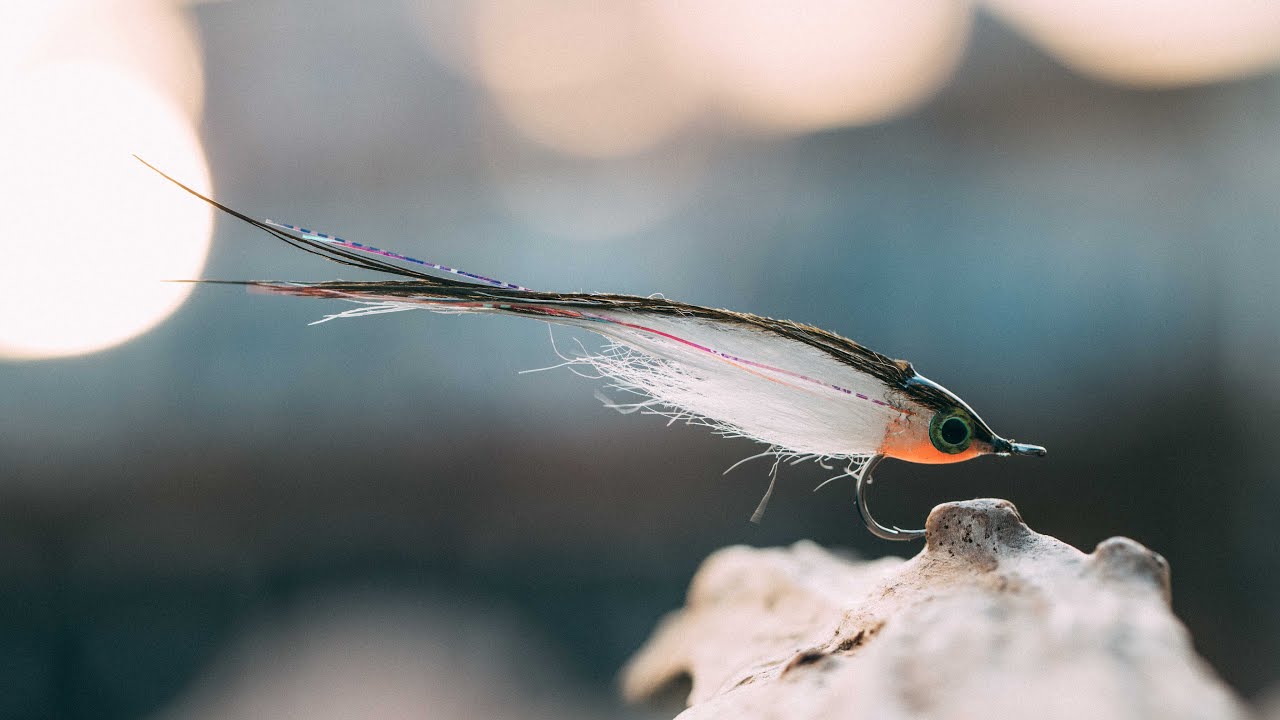 FLY TYING - The Ostrich - BAITFISH, TUTORIAL - YouTube