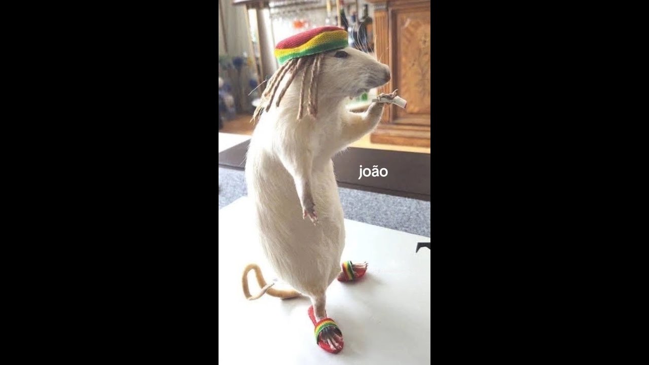 Rasta mouse hacks - YouTube
