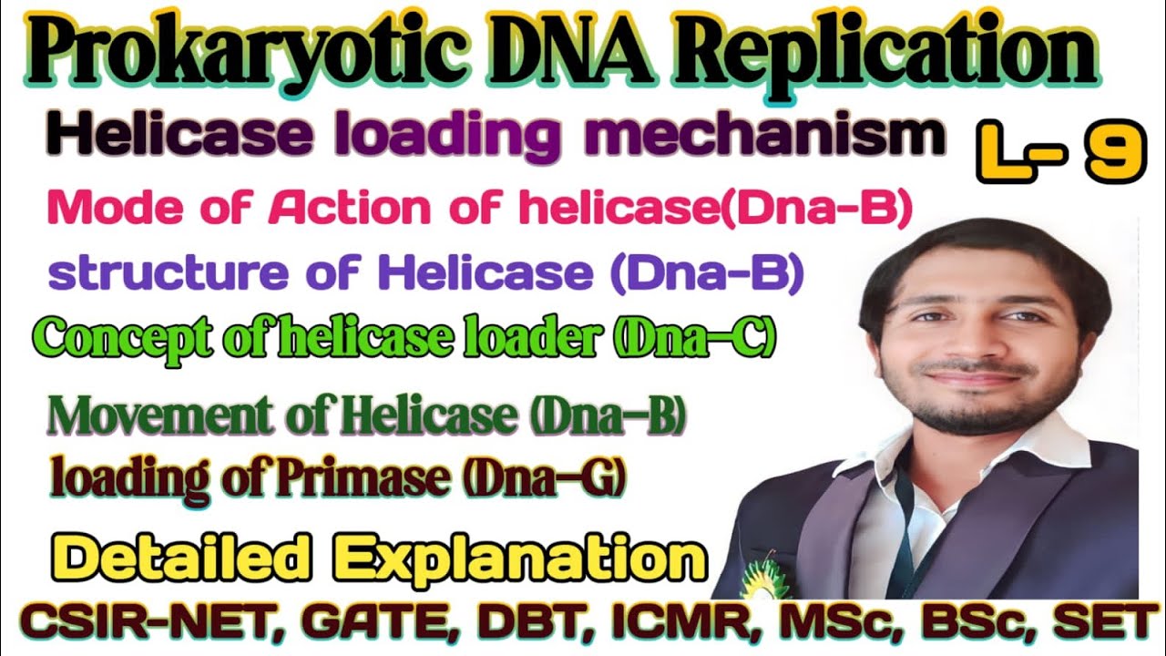 Prokaryotes DNA Replication-L-9 mechanism of loading and action of DNA ...