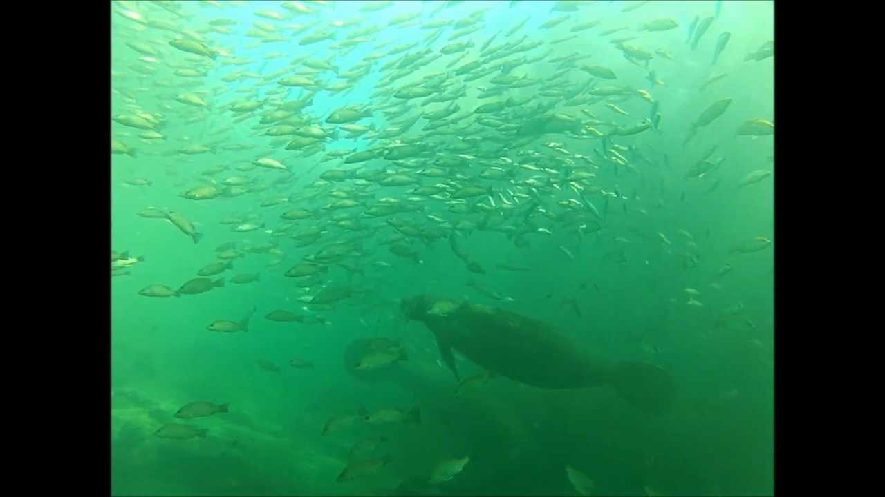 Hospital Hole Movie - YouTube