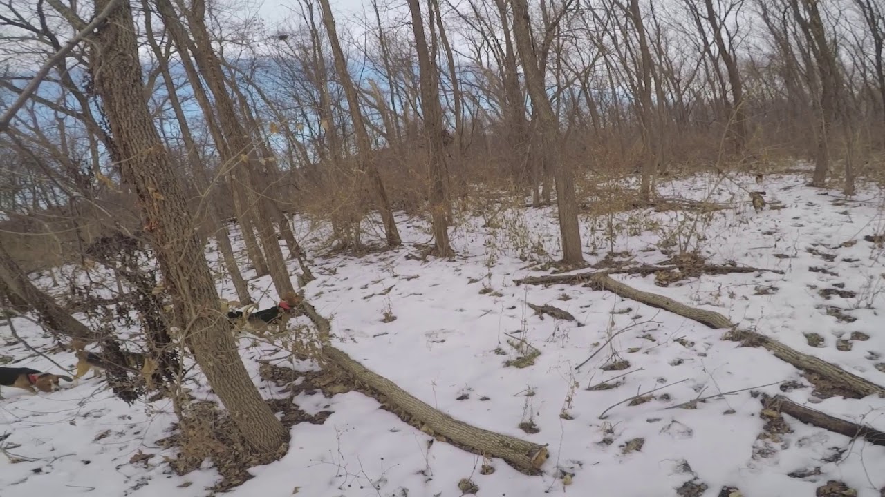 FORT RILEY HUNTING - YouTube