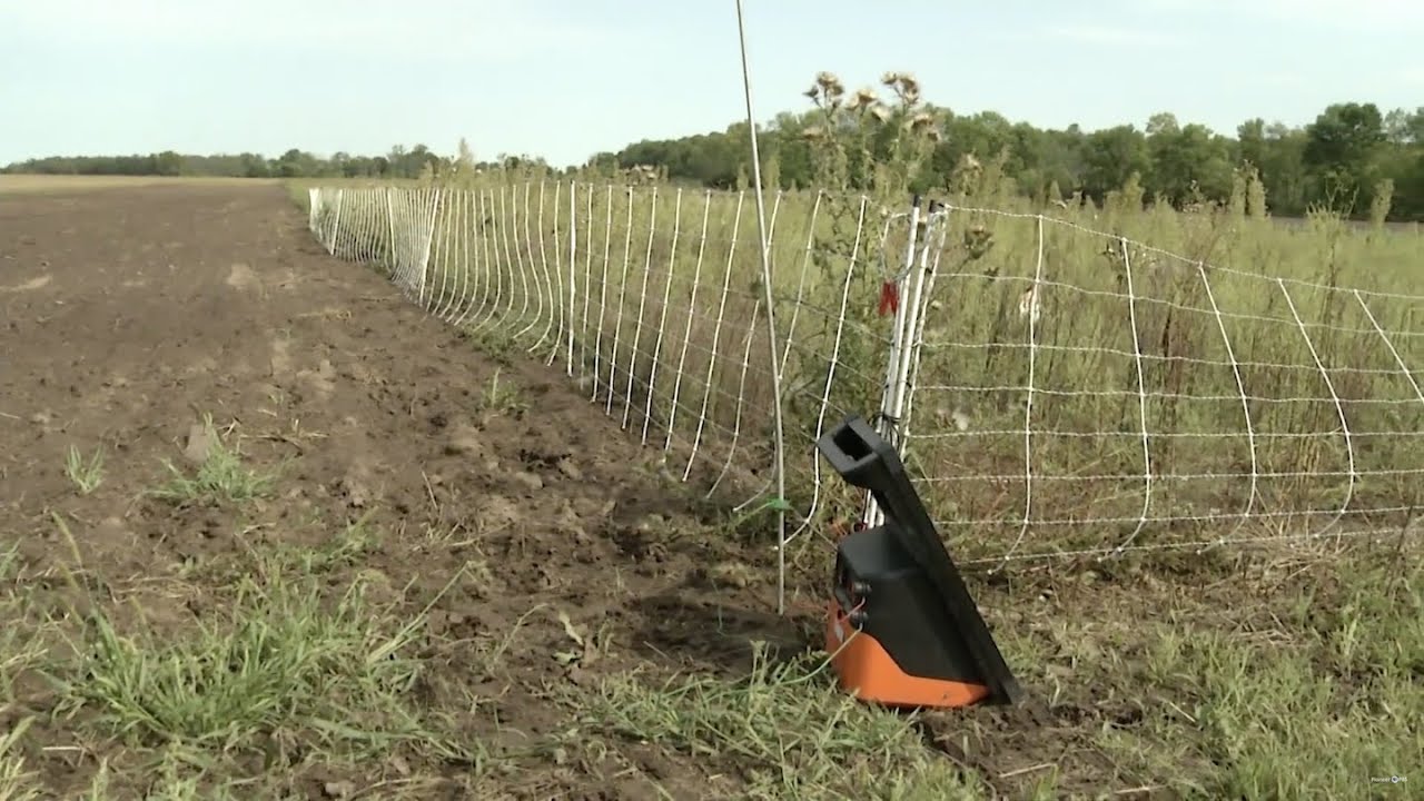 Prairie Yard & Garden | Minnesota Native Landscapes | Steps to Plant ...