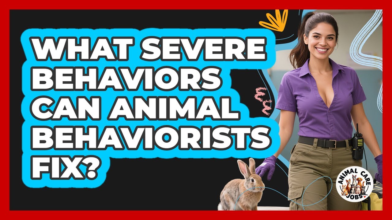 What Severe Behaviors Can Animal Behaviorists Fix? - Animal Care Jobs ...