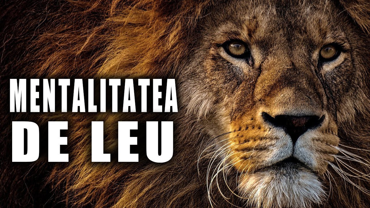 MENTALITATEA DE LEU - CEL MAI PUTERNIC VIDEO MOTIVAȚIONAL - YouTube