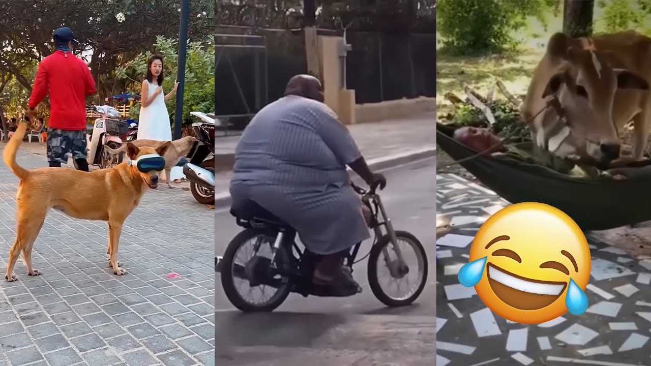 Best Funny Laughs 😂 Memes & Videos That Will Crack You Up - Part 7 ...