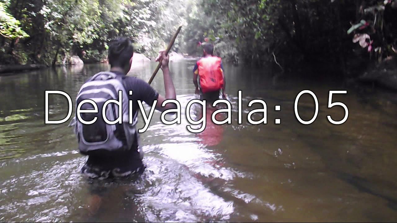 Dediyagala Forest Reserve - Documentary 05 - YouTube