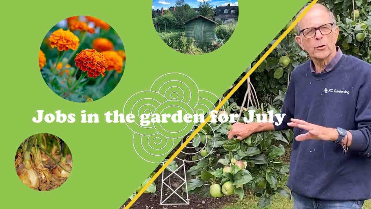 Ken's jobs for the garden during July #gardening #gardeningtips # ...